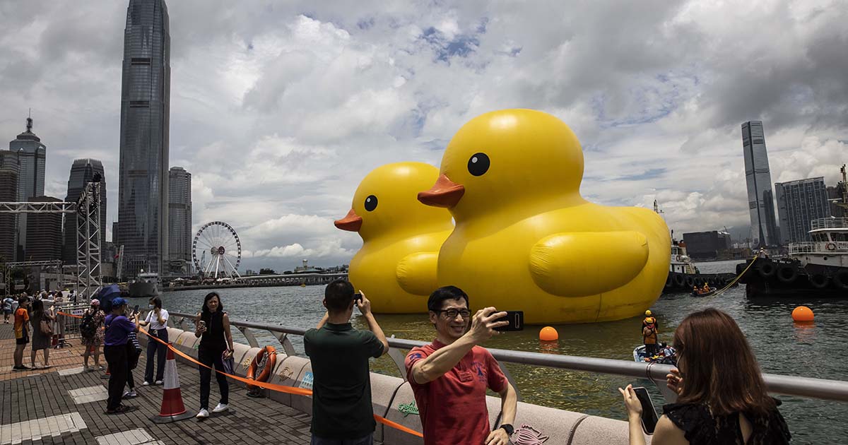 A decade on, giant duck brings a friend home to roost in Hong Kong ...