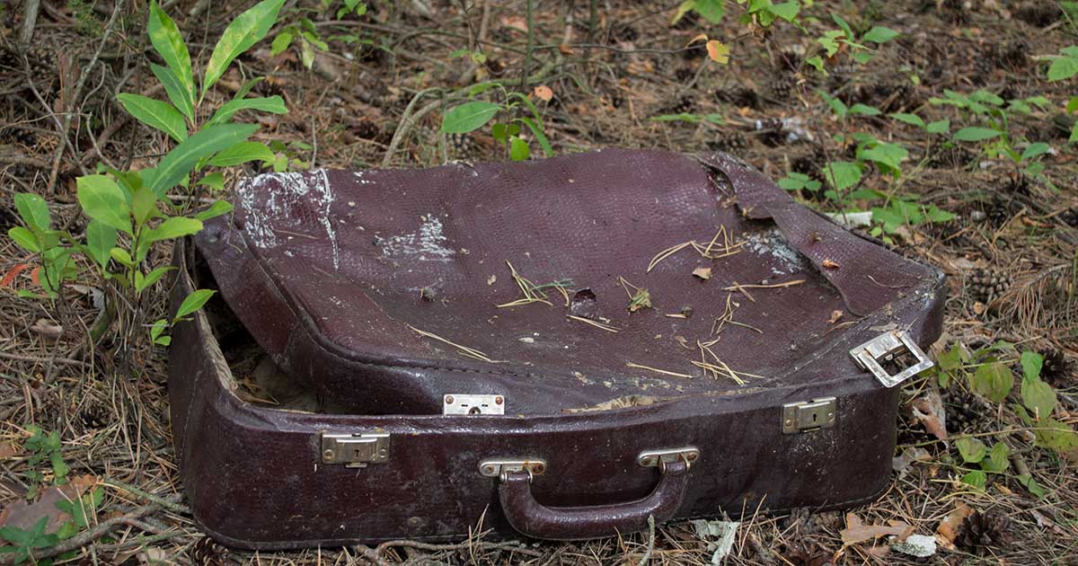 Suitcase Killer True Story at Samuel Truelove blog