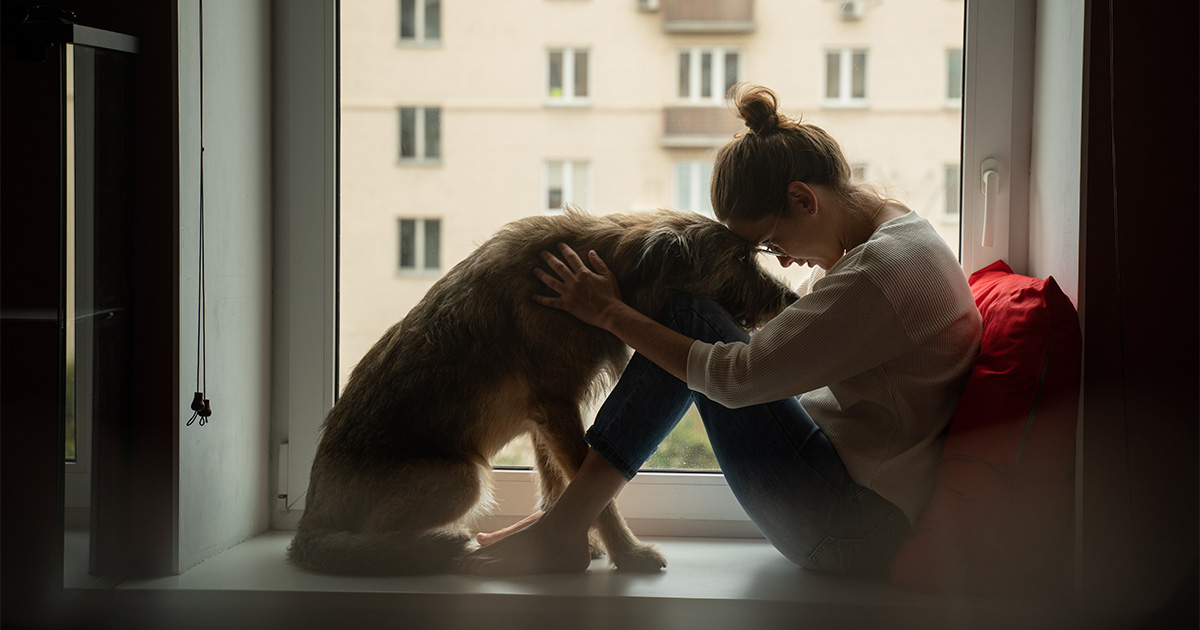 Saying goodbye: How to prepare and deal with the loss of a fur baby ...