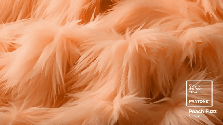 Peach Fuzz is Pantone's 2024 Color of the Year • PhilSTAR Life
