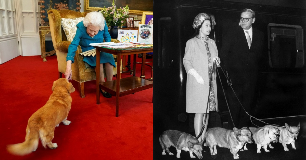 Dogs Save The Queen: the monarch and her corgis • PhilSTAR Life