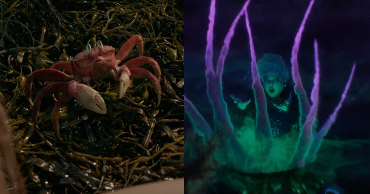 The Little Mermaid 2023 Trailer Flounder at Sherry Ramos blog