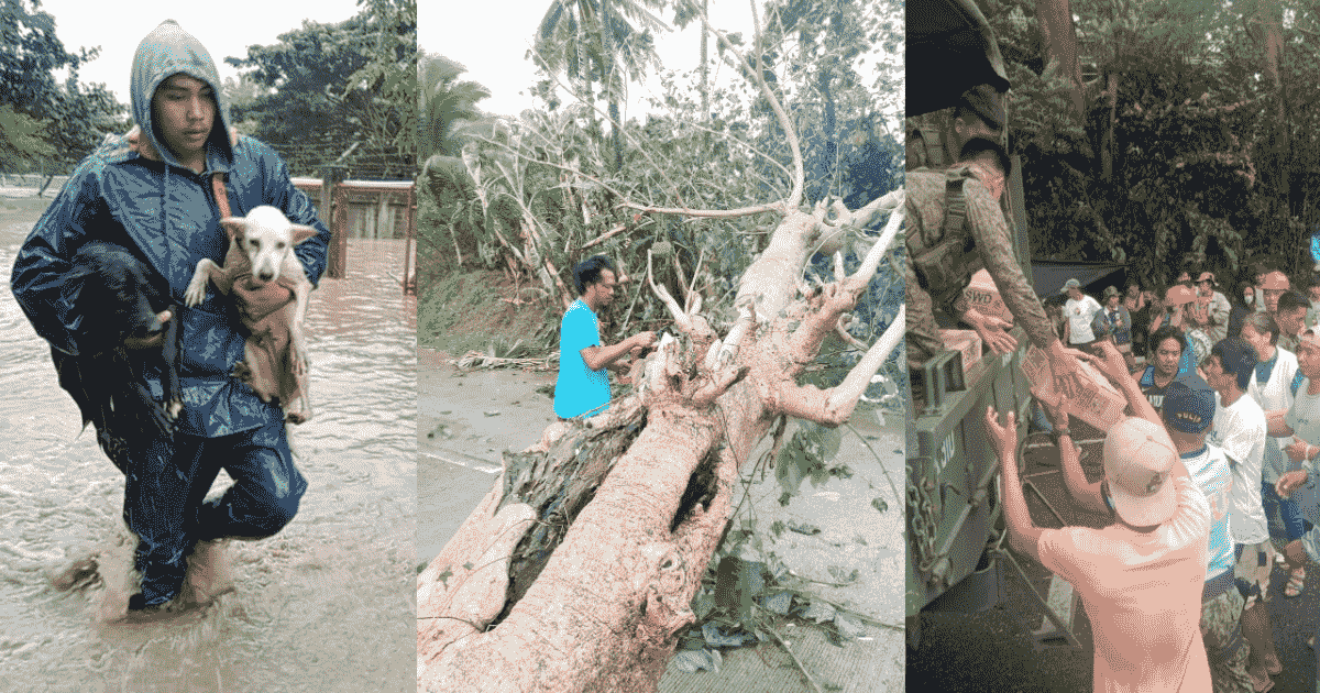 IN PHOTOS: Tropical Storm Paeng batters different parts of the Philippines • PhilSTAR Life