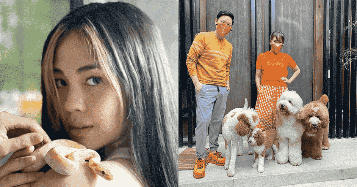 LIST: These unique celebrity-owned pets inherited star power from their ...