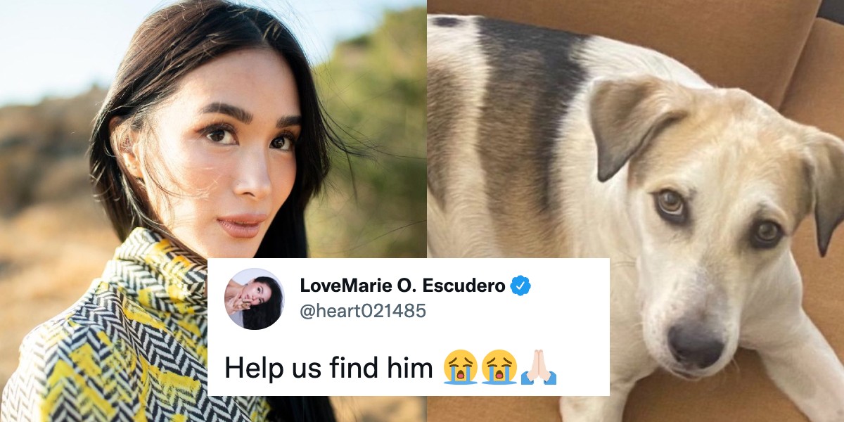 Have you seen Luka? Heart Evangelista is offering P50,000 to find this ...