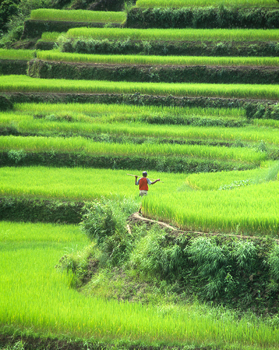 The Beauty of the Cordilleras, as seen by a conservation advocate ...