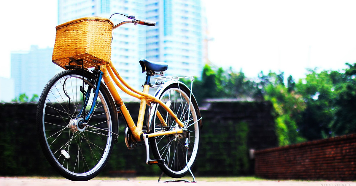 No longer the poor man’s timber: Bamboo bikes are in it for the long ...