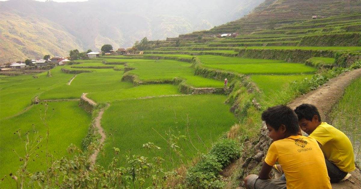 How do you preserve a legacy like the Ifugao Rice Terraces? • PhilSTAR Life