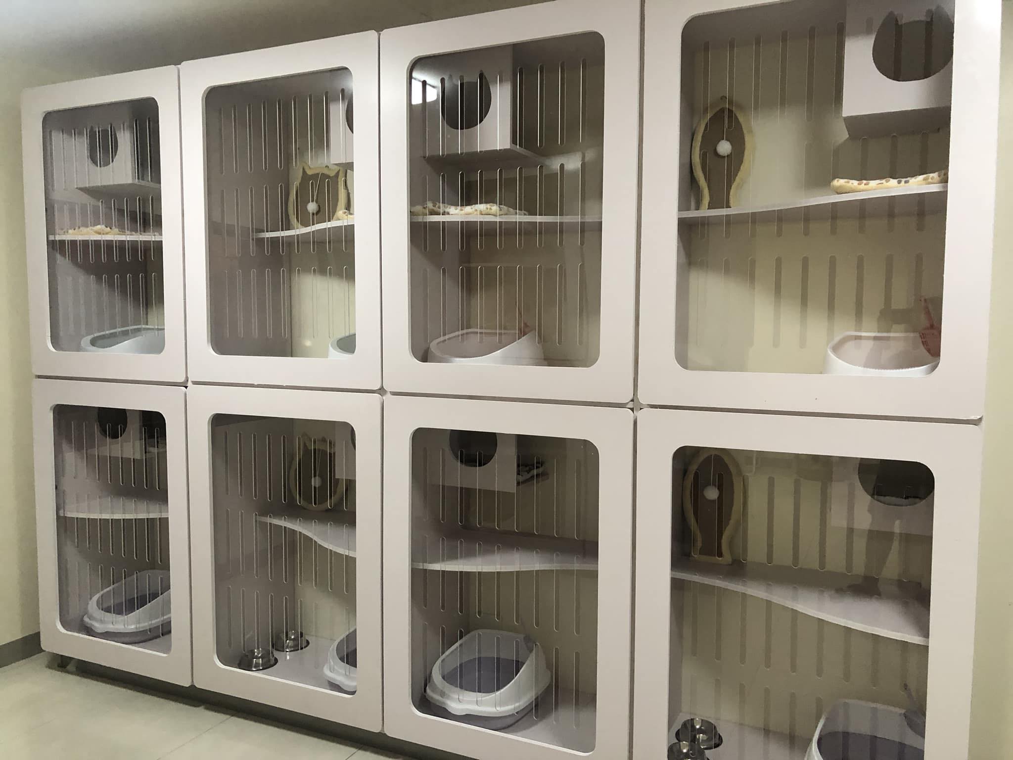 LIST: Pet hotels and boarding houses to consider for your fur babies ...