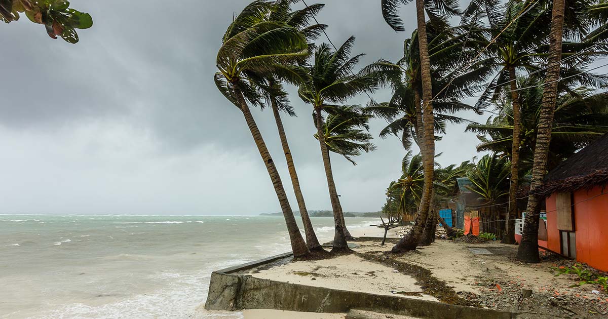 Heads up: Pepito intensifies into typhoon, more areas under wind signal ...