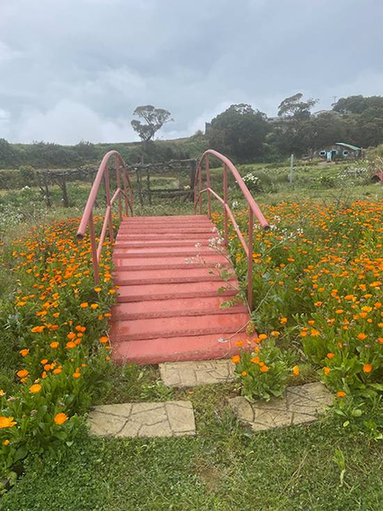 Baguio’s hidden gems: Kidlat’s wonderful warren, a secret gallery and ...