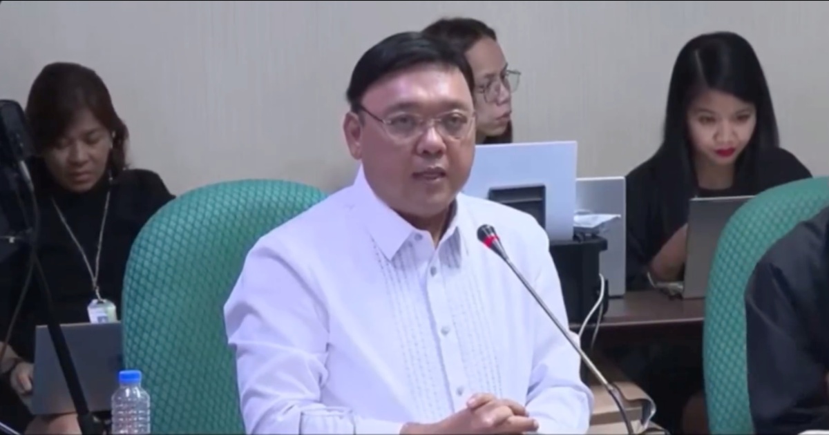 Harry Roque and Cassandra Ong's co-accused in POGO-related human ...
