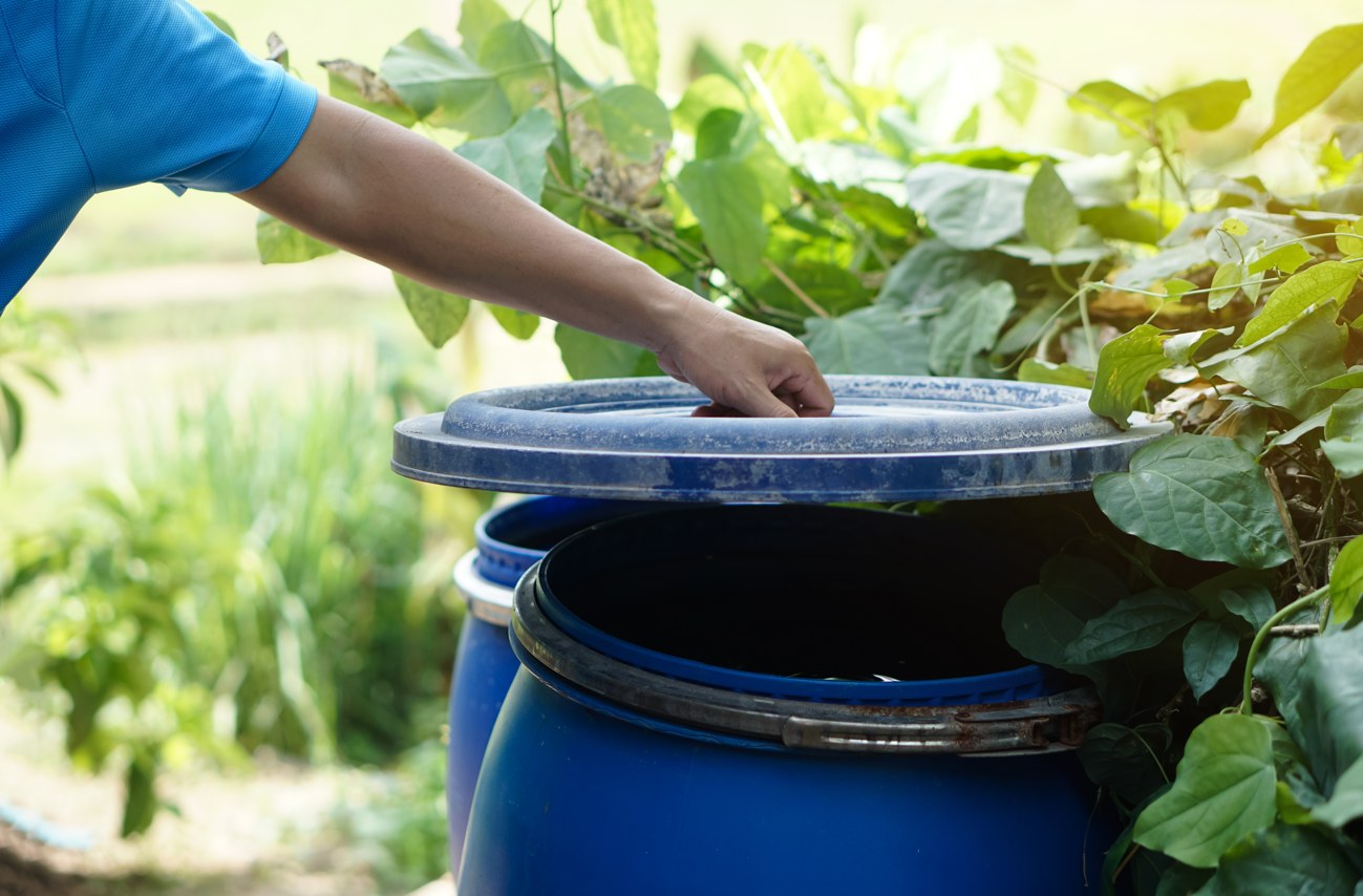 Dengue defense: Simple home tips, key symptoms to watch, and when to ...